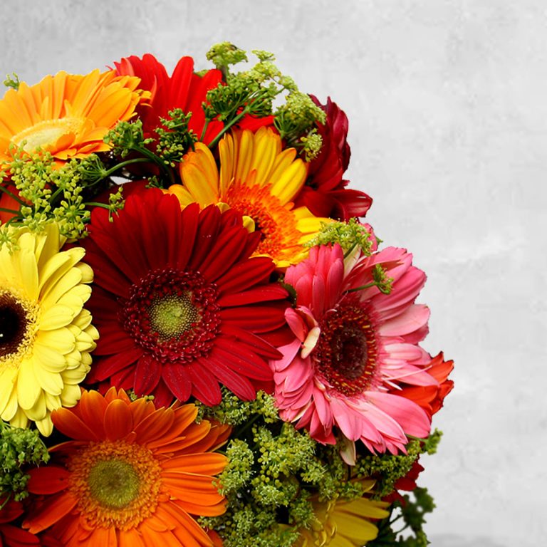 Gerberas | Arranjos Florais com Gerberas