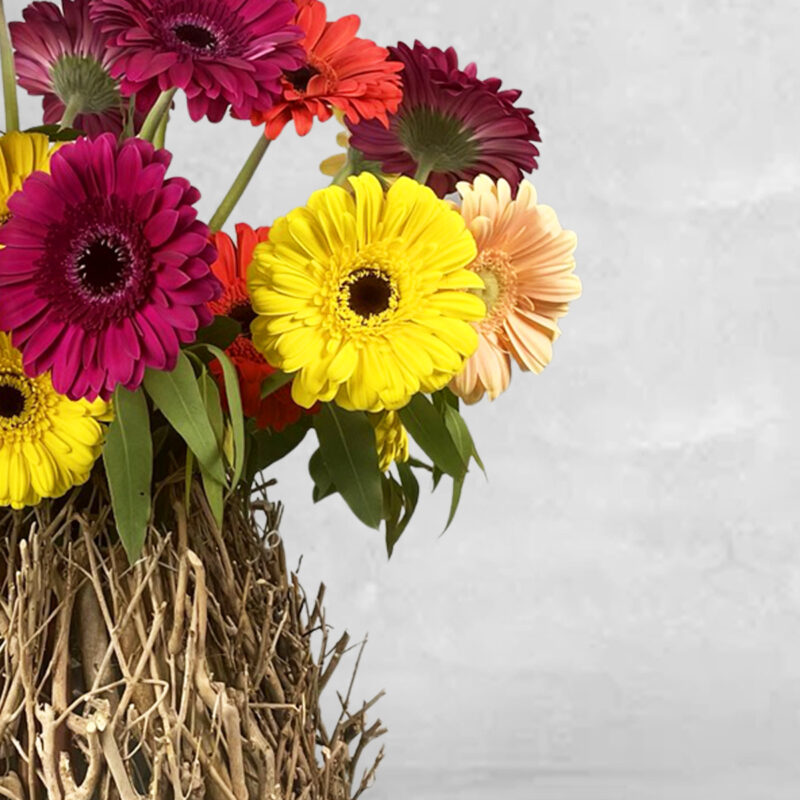 Gerberas | Arranjos Florais com Gerberas